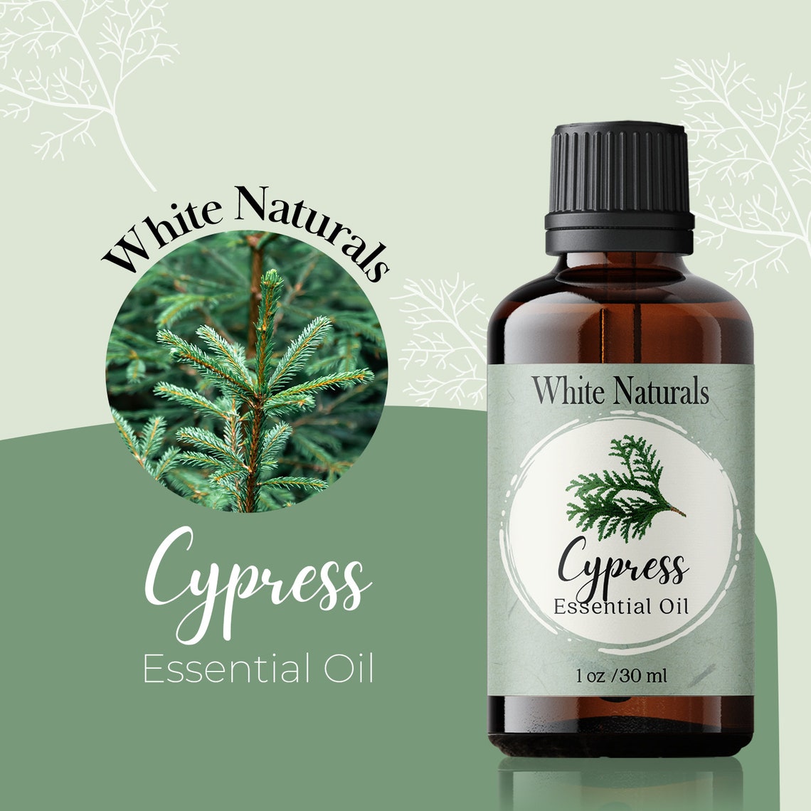 Cypress Essential Oil, 100% Pure, Aromatherapy Diffuser, 1oz - Etsy