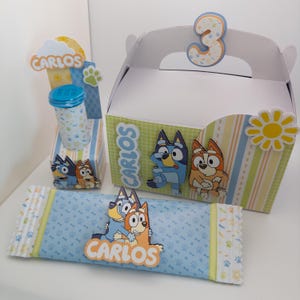 Bluey Gable Boxes, Decorated Boxes, Bluey & Bingo Party Favors, Made to ...