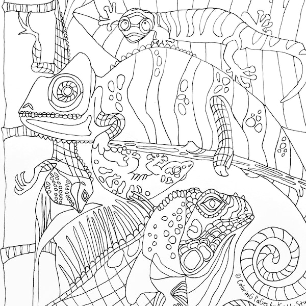 Lounge Lizard - Etsy