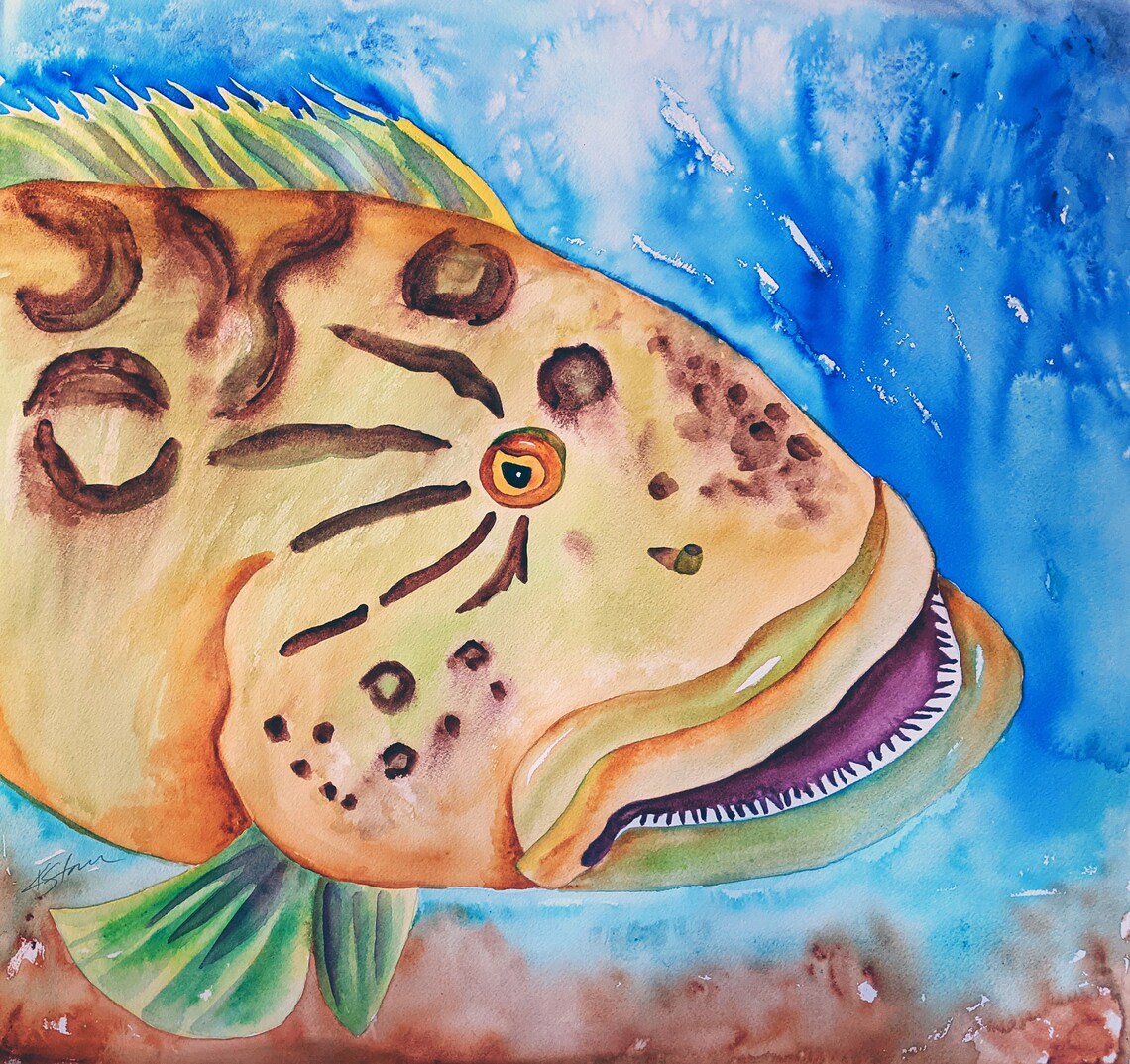 50 Shades of Grouper - Etsy