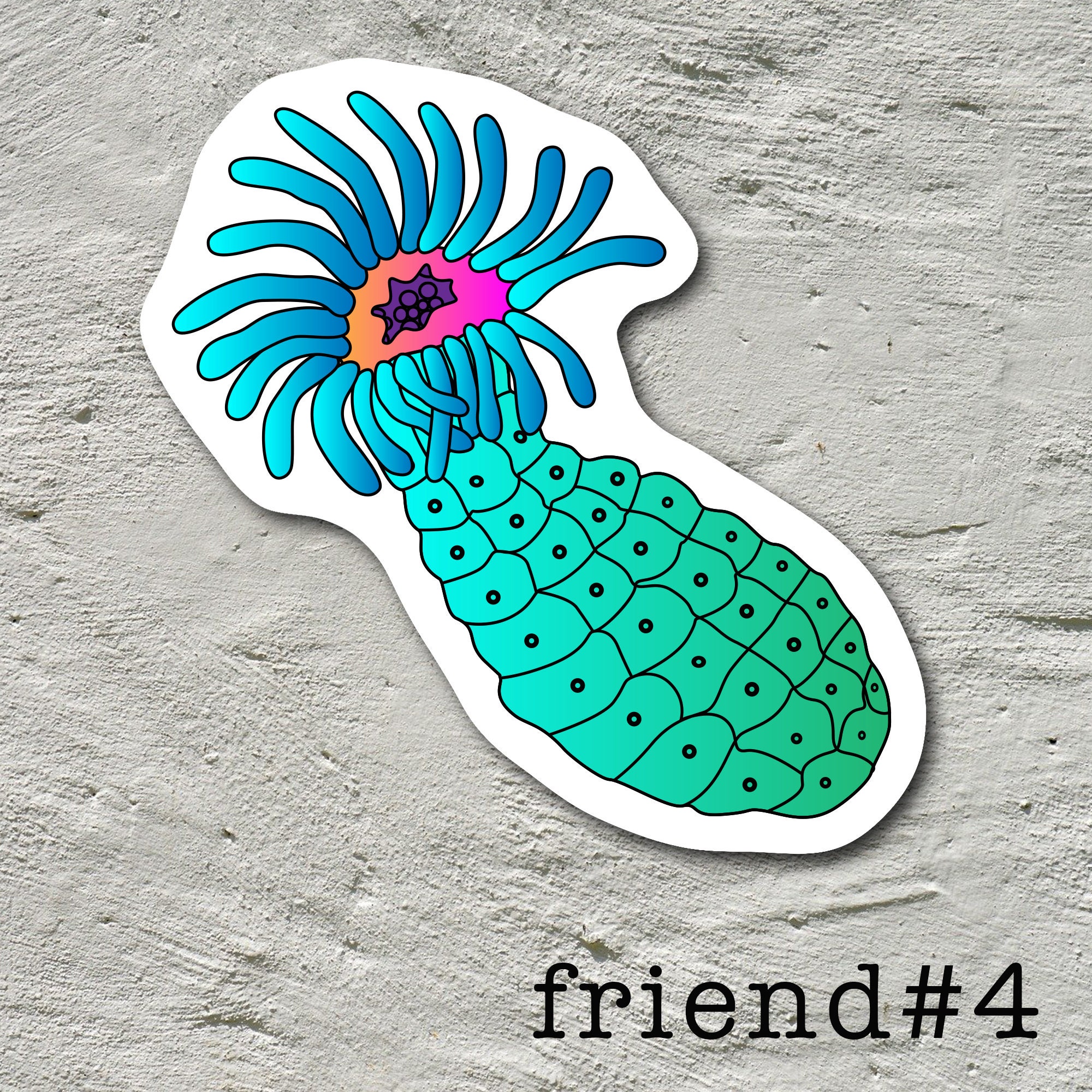 Coral Reef Stickers Sea Friends Collection - Etsy