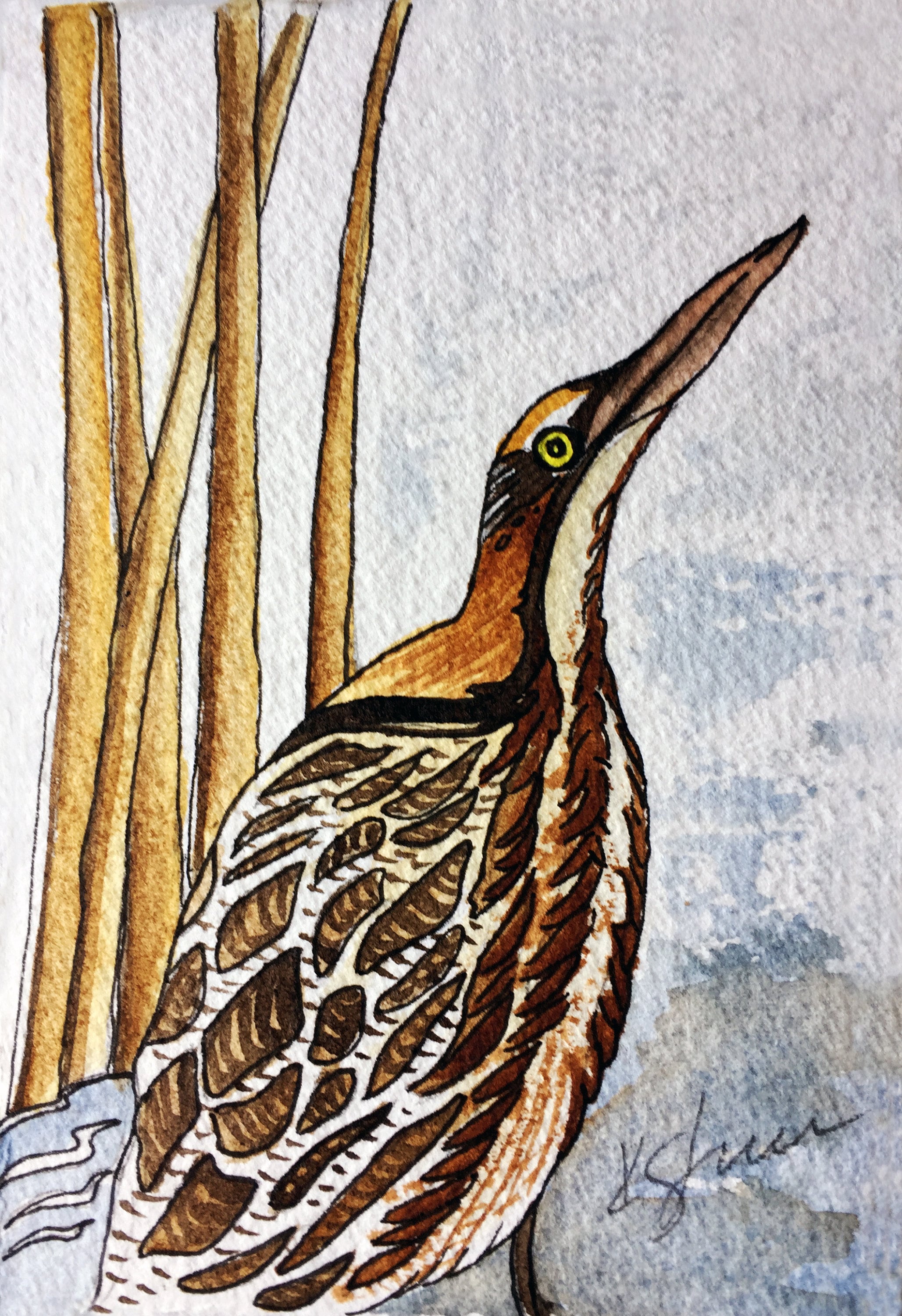 Original Watercolor Painting: American Bittern Nature Painting - Etsy UK