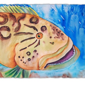 50 Shades of Grouper - Etsy