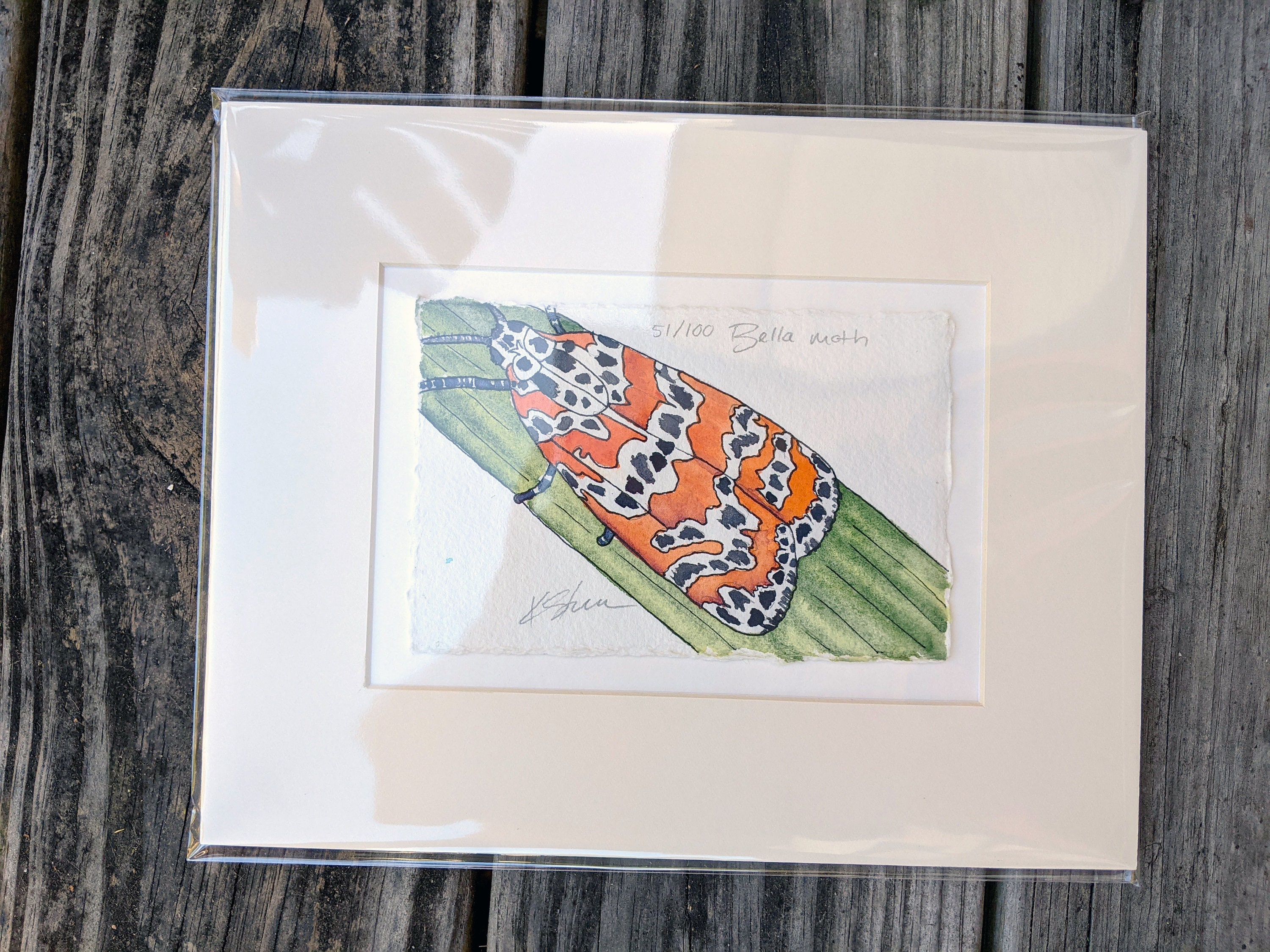 Original Watercolor Painting: Bella Moth Nature Painting - Etsy UK