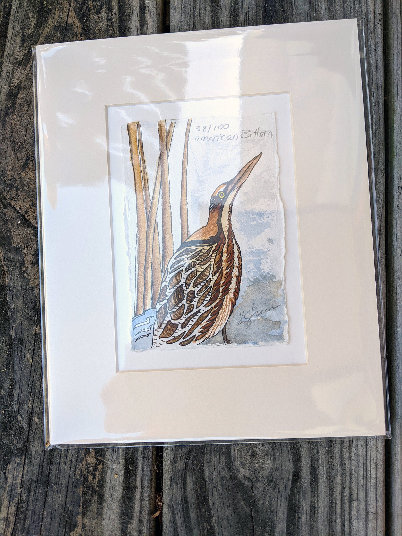 Original Watercolor Painting: American Bittern Nature Painting - Etsy
