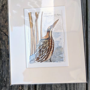 Original Watercolor Painting: American Bittern Nature Painting - Etsy