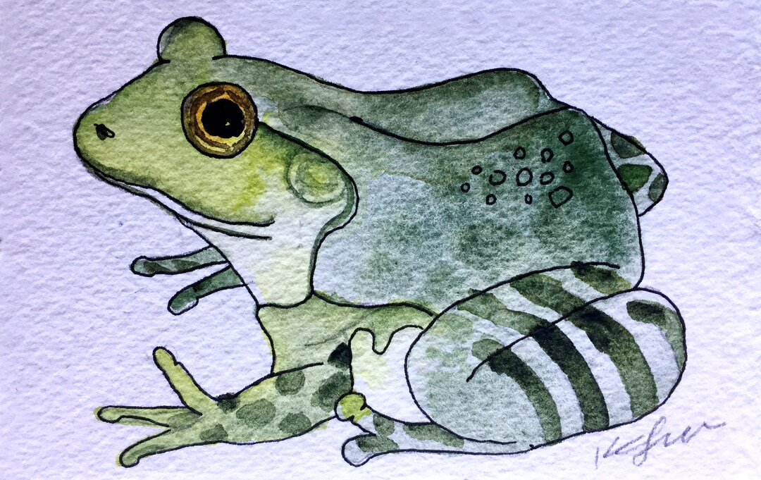 Original Watercolor Painting: American Bullfrog Nature Painting - Etsy