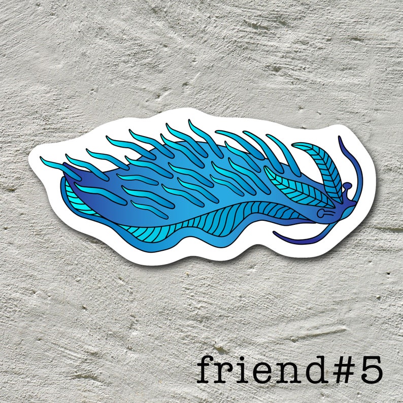 Coral Reef Stickers Sea Friends Collection - Etsy