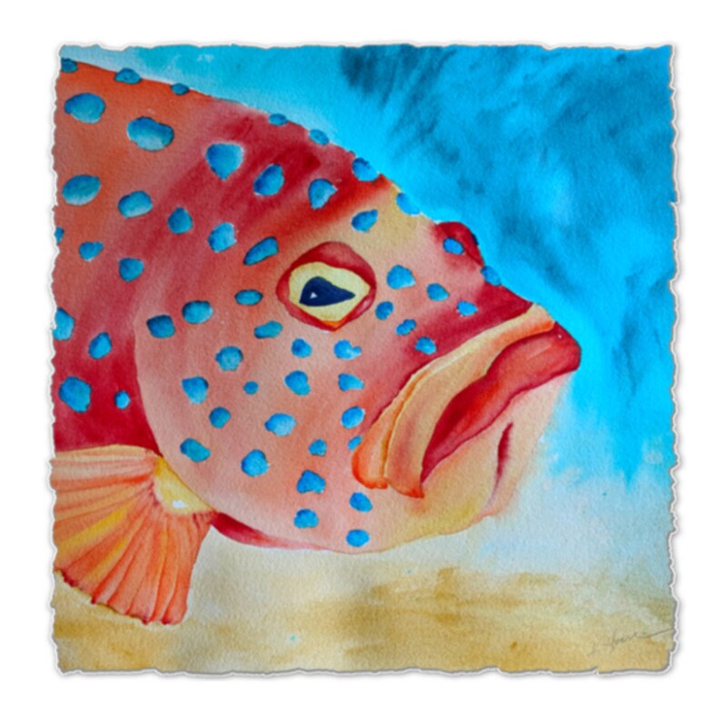 Mr Grouper - Etsy