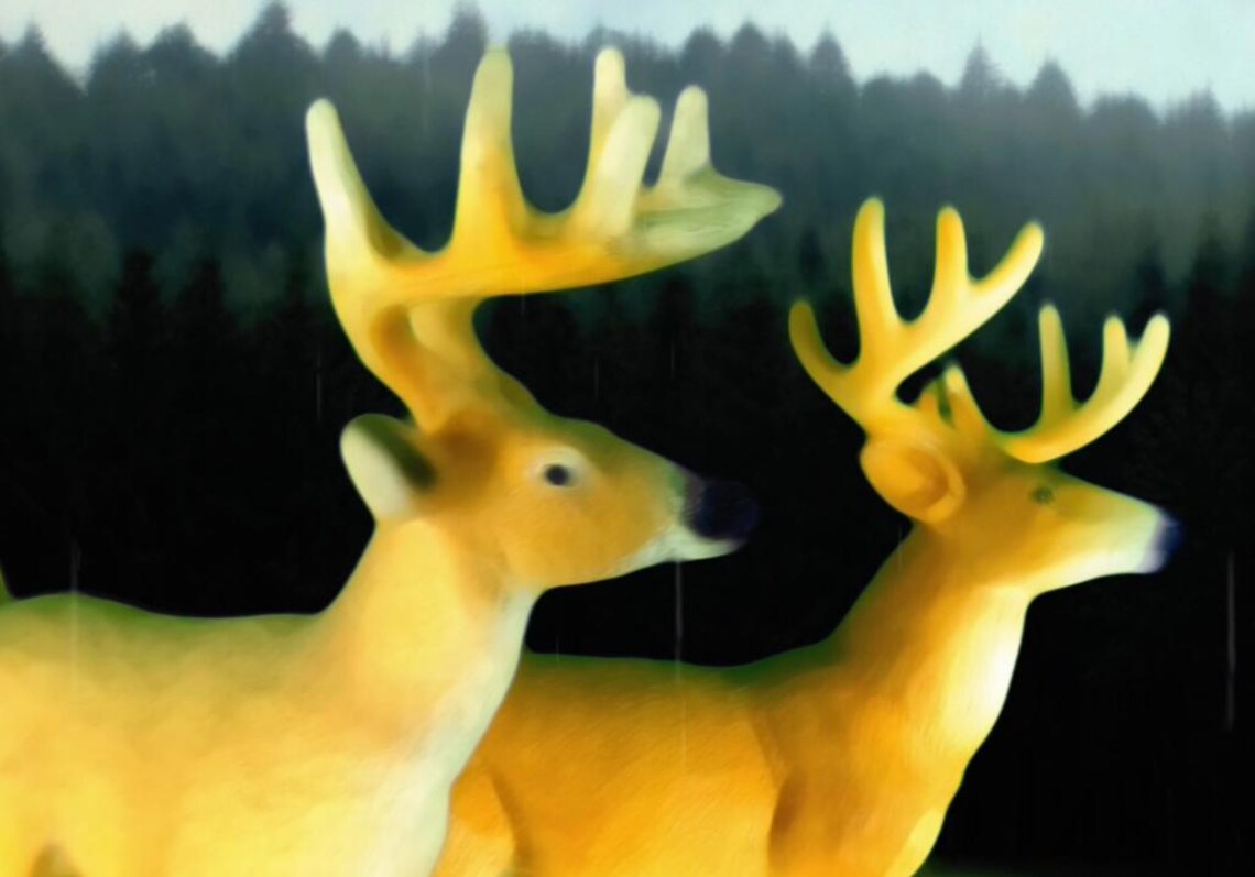 The Life of Bambi (2025) Blu-ray 3D + 4K3D - Etsy