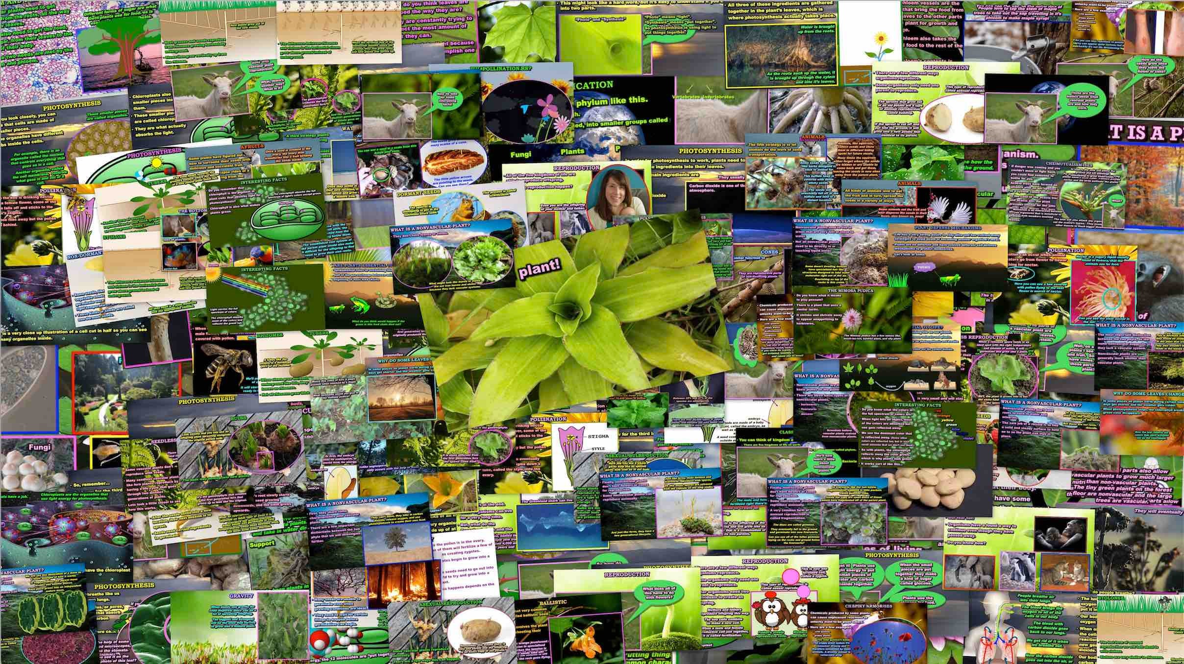 Plants: an Animated Nonfiction Digital Book for Kids - Etsy