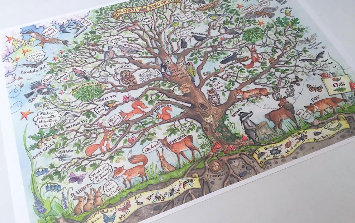 POSTER by Amanda Loverseed A2 Great Oak Tree. PRINT Nature Facts ...