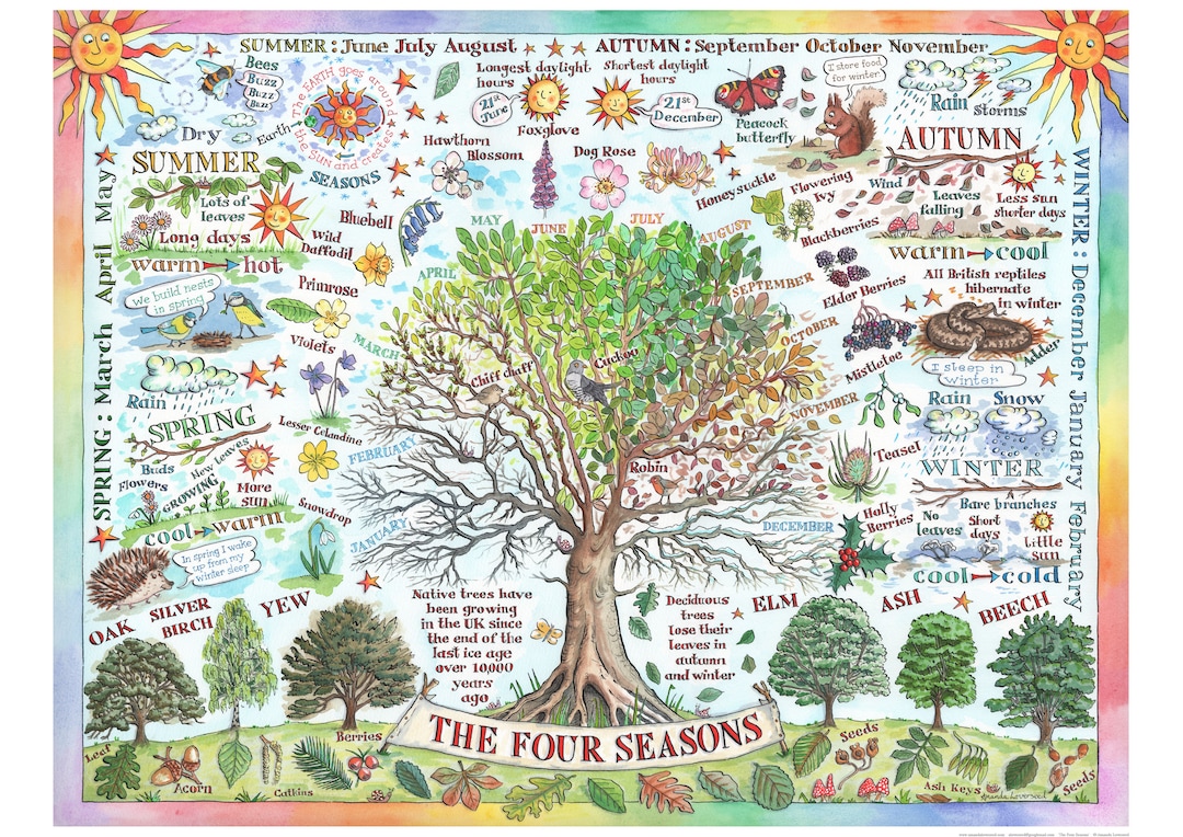 POSTER Four Seasons Amanda Loverseed Fun Facts Educational Weather ...