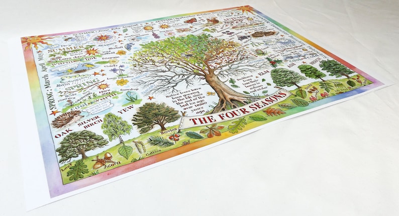 POSTER Four Seasons Amanda Loverseed Fun Facts Educational Weather ...
