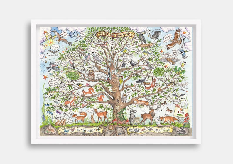POSTER by Amanda Loverseed A2 Great Oak Tree. PRINT Nature Facts ...