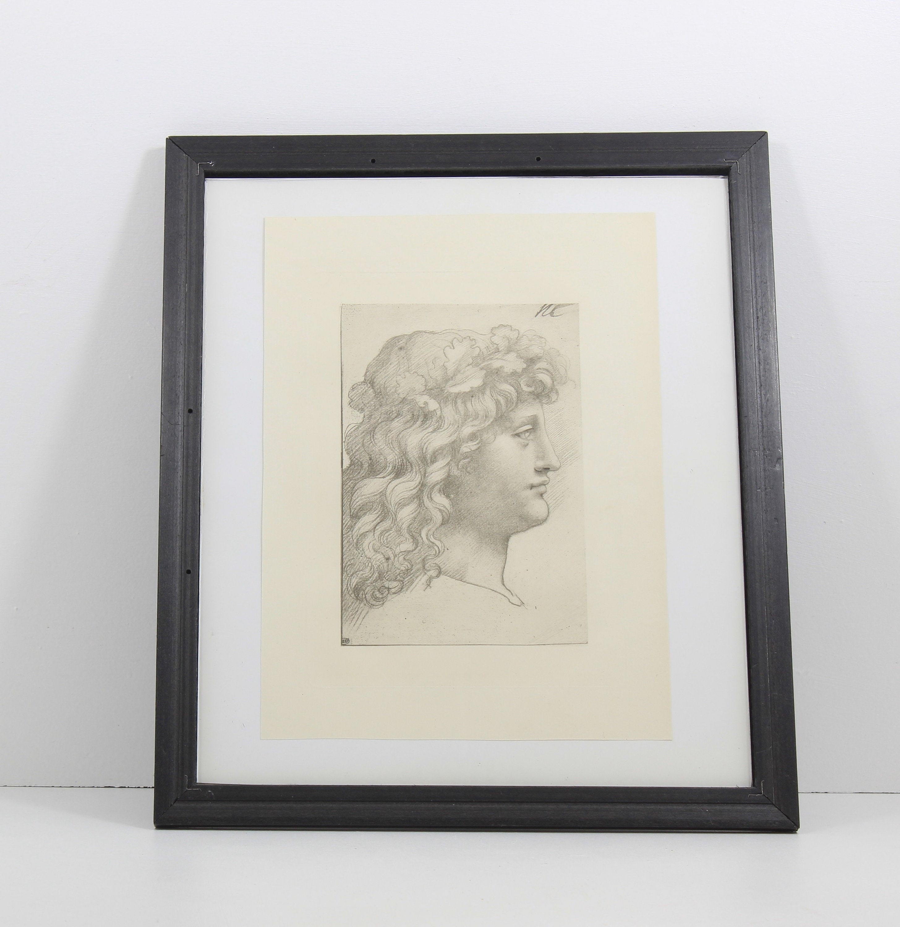 Classical Portrait in Profile - Printed in 1882 - Etsy