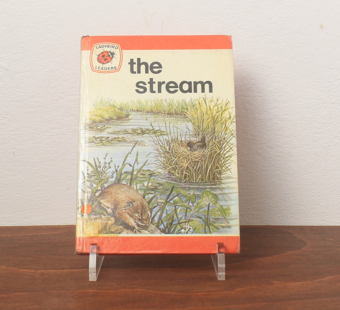 The Stream Ladybird Book - Etsy
