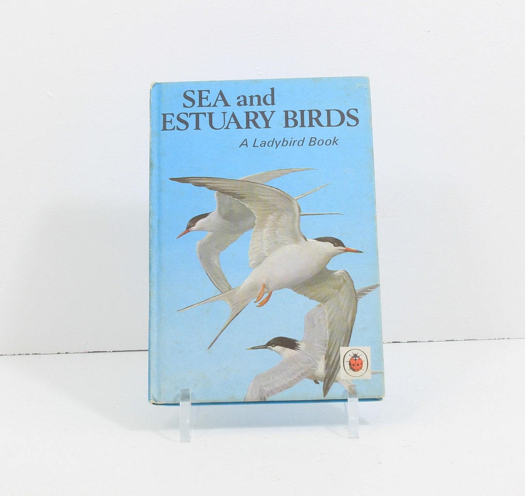 Sea and Estuary Birds Ladybird Book - Etsy