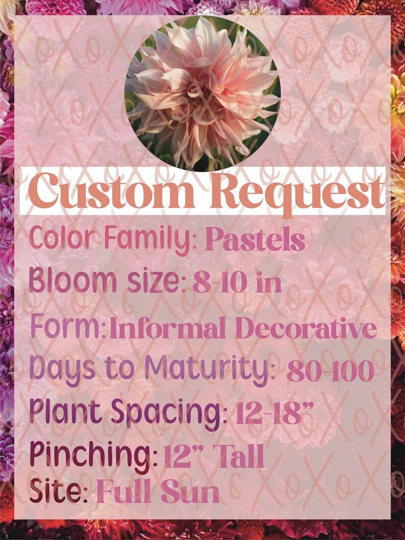 Dahlia Plant ID Cards - Etsy