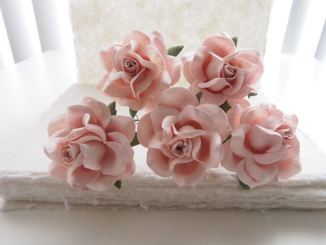 5 Pcs Roses Mulberry Paper Pale Pink Color Wedding Baby Shower Girl ...