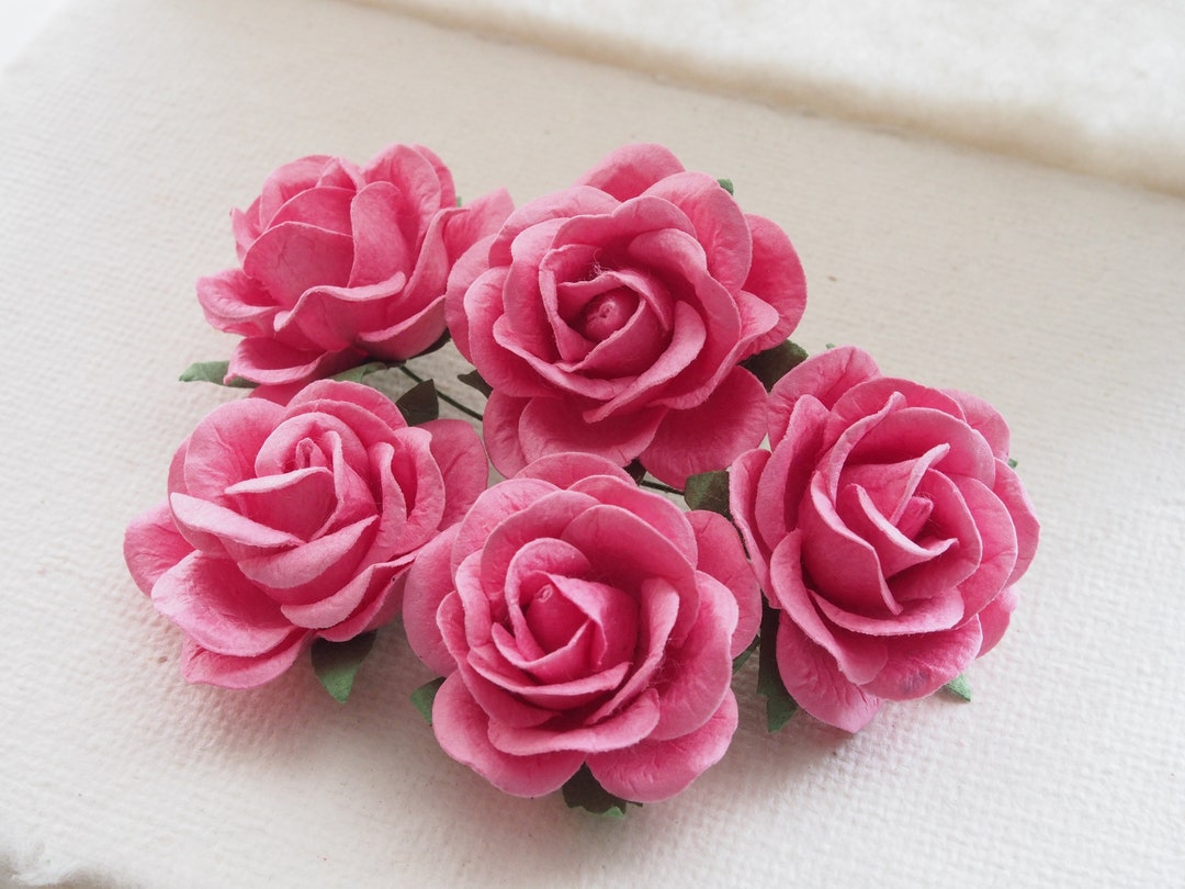 37.5 Mm. Roses Mulberry Paper - Hot Pink Color | Wedding | Party | Baby ...