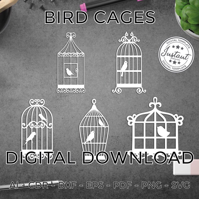 Bird Cage Svg Bundle Cages Svg Cut File Cage Vectors - Etsy