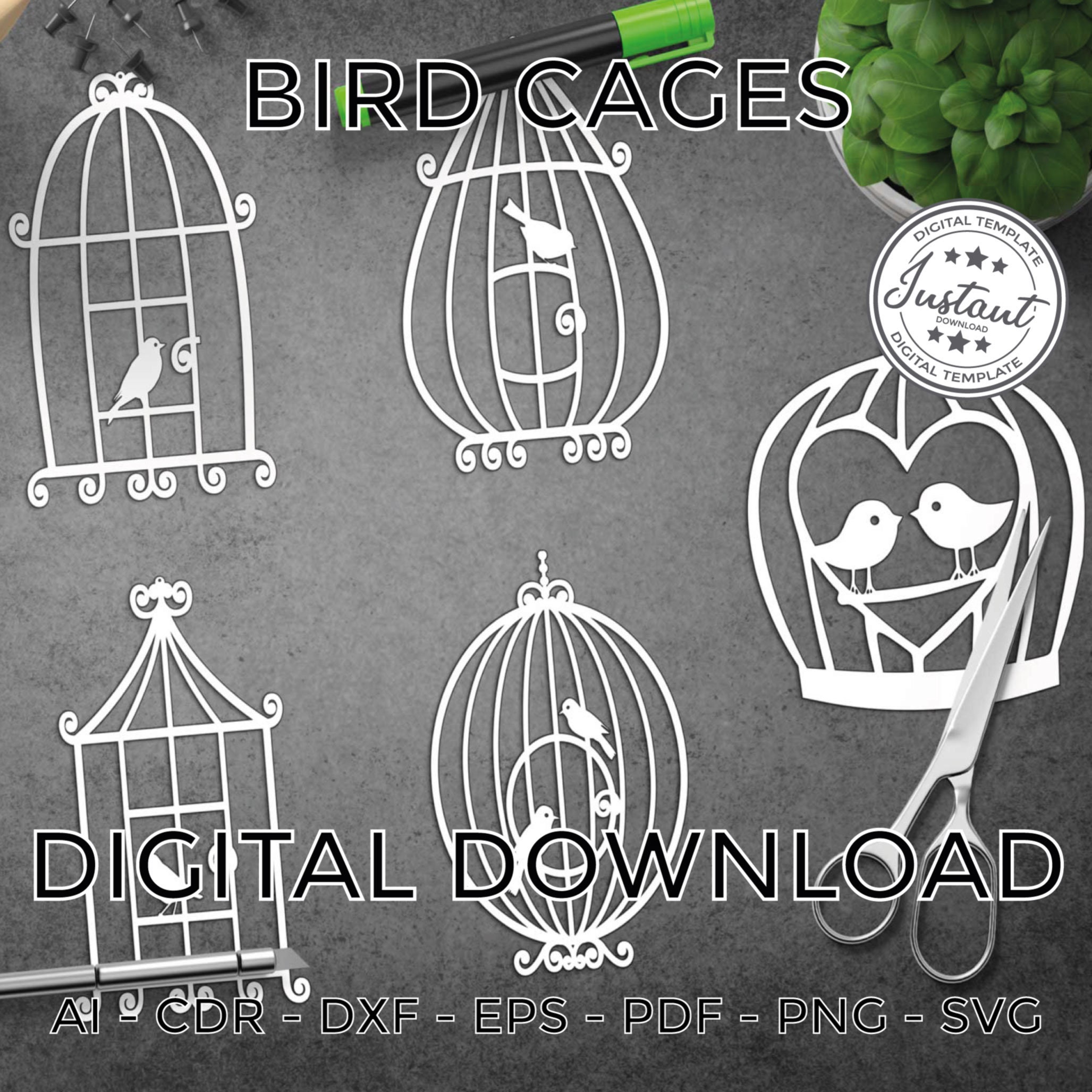 Bird Cage Svg Bundle Cages Svg Cut File Cage Vectors - Etsy UK