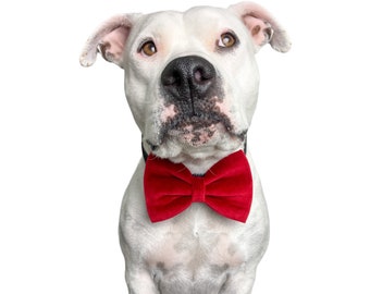 Red Dog Bow - Etsy
