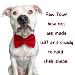 Canada Day Dog Bow Tie, Maple Leaf Bowtie for Dog Collar, Canada Flag Bows, Red and White Bows ...