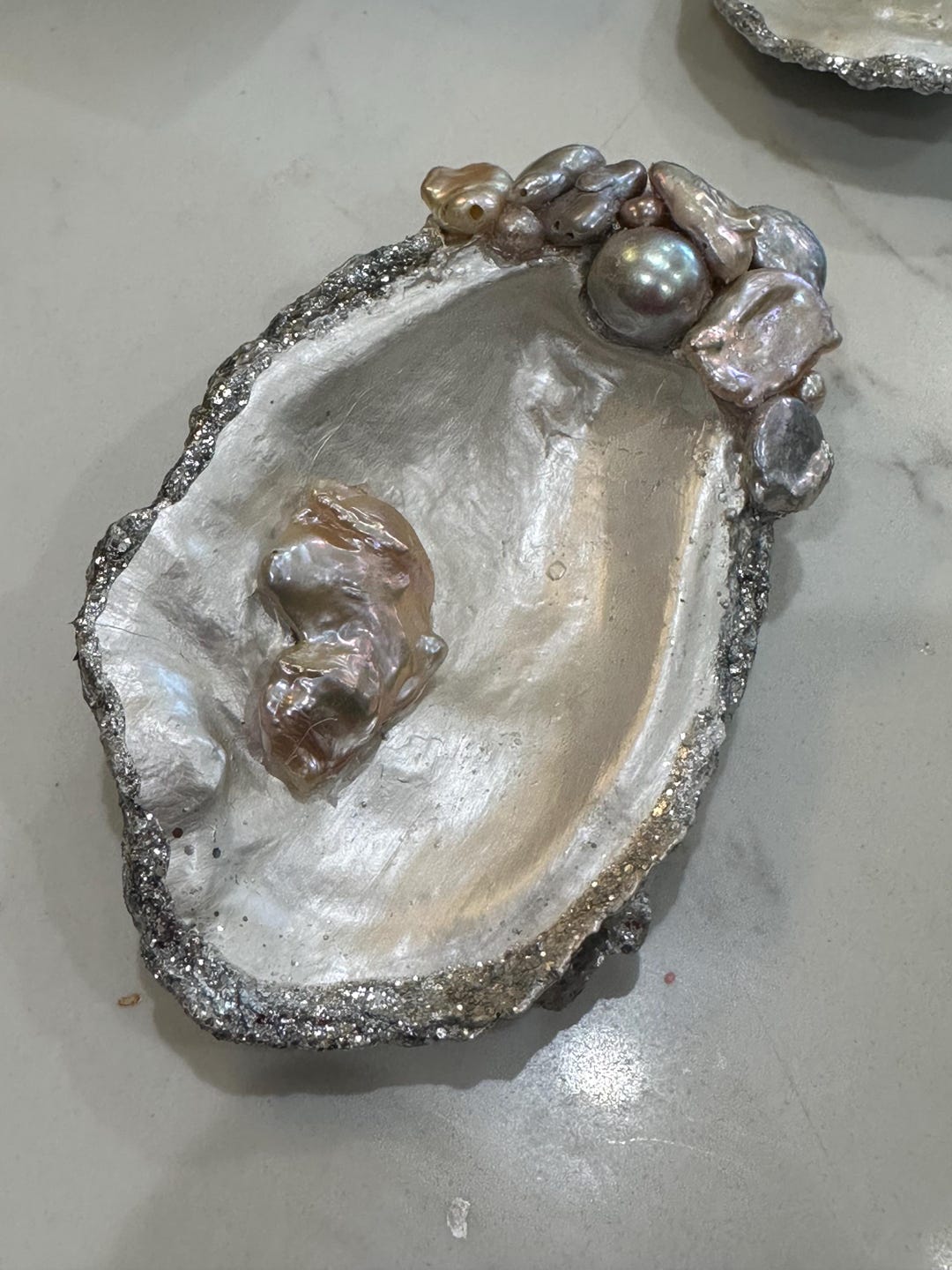 GIANT One of A Kind, Hand Harvested Gulf Coast Oyster Shell, Covered in ...