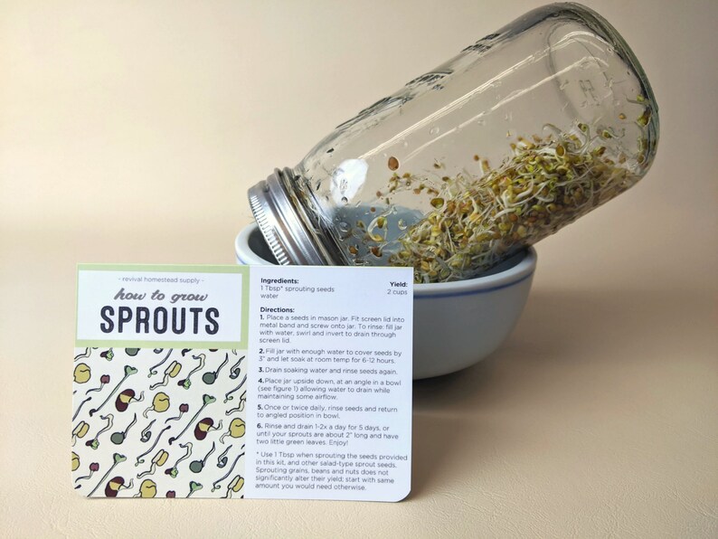 Sprouting Kit Grow Your Own Sprouts | Etsy
