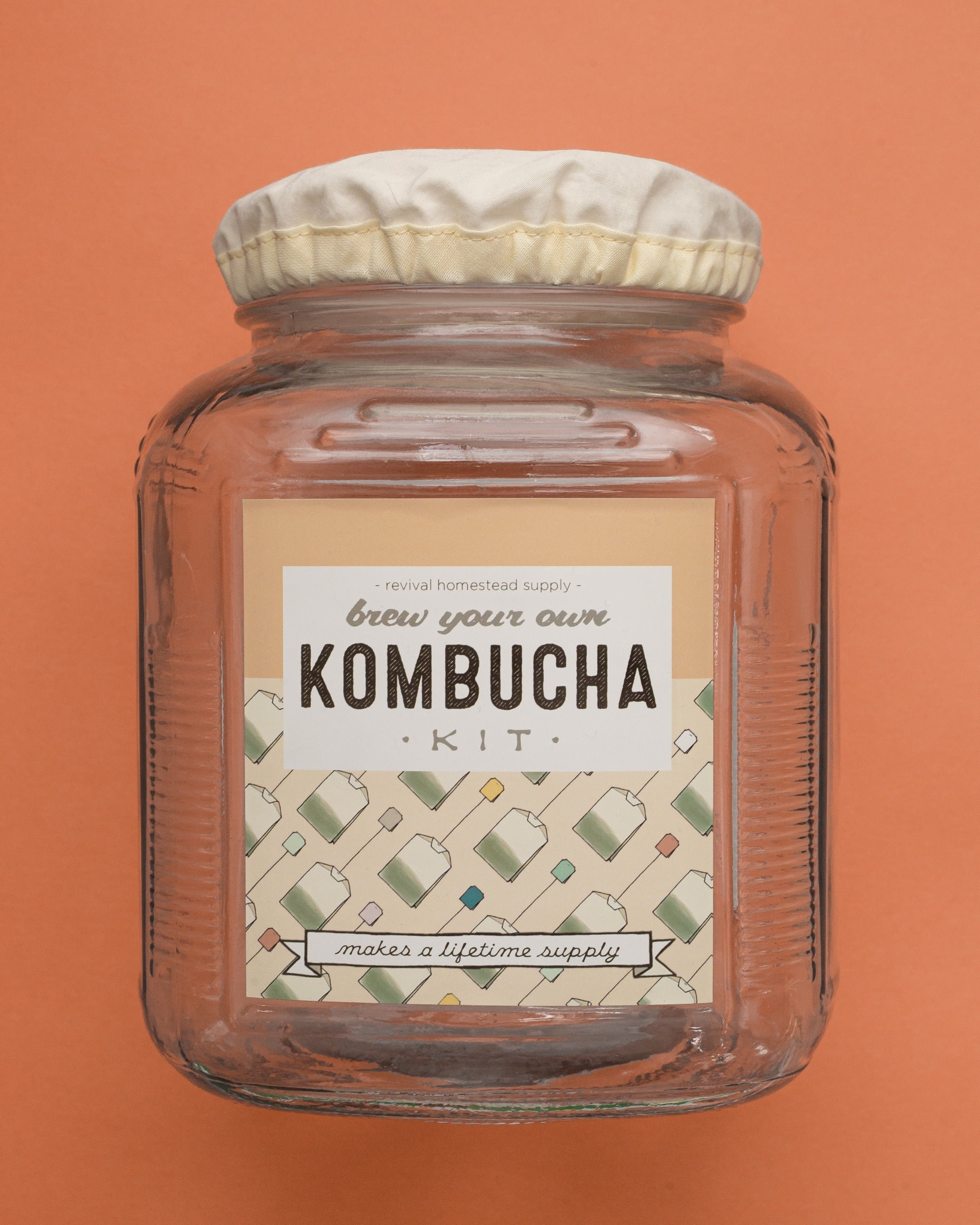 Kombucha Kit Brew Your Own With 1 Gallon Jar | Etsy
