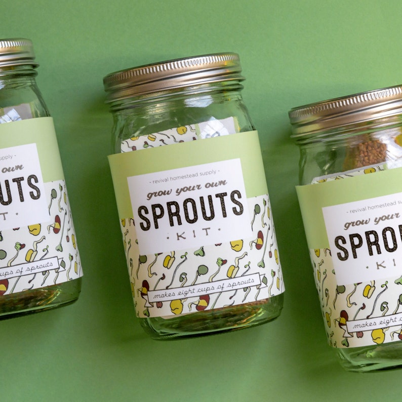 Sprouting Kit Grow Your Own Sprouts | Etsy