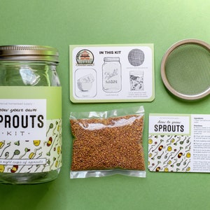 Sprouting Kit, Grow Your Own Sprouts - Etsy