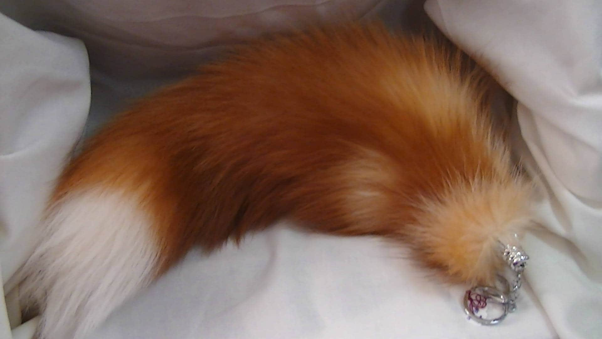 Red Fox Tail