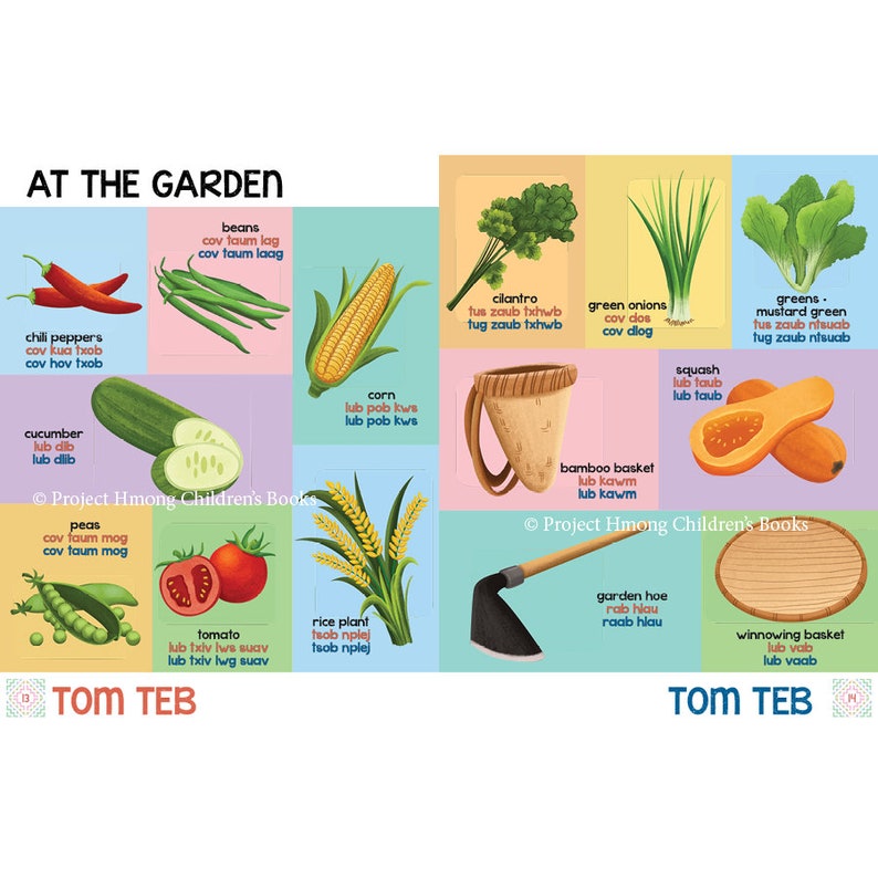 Hmong Words | Lus Hmoob | Lug Moob: Bilingual Hmong Language Children's ...