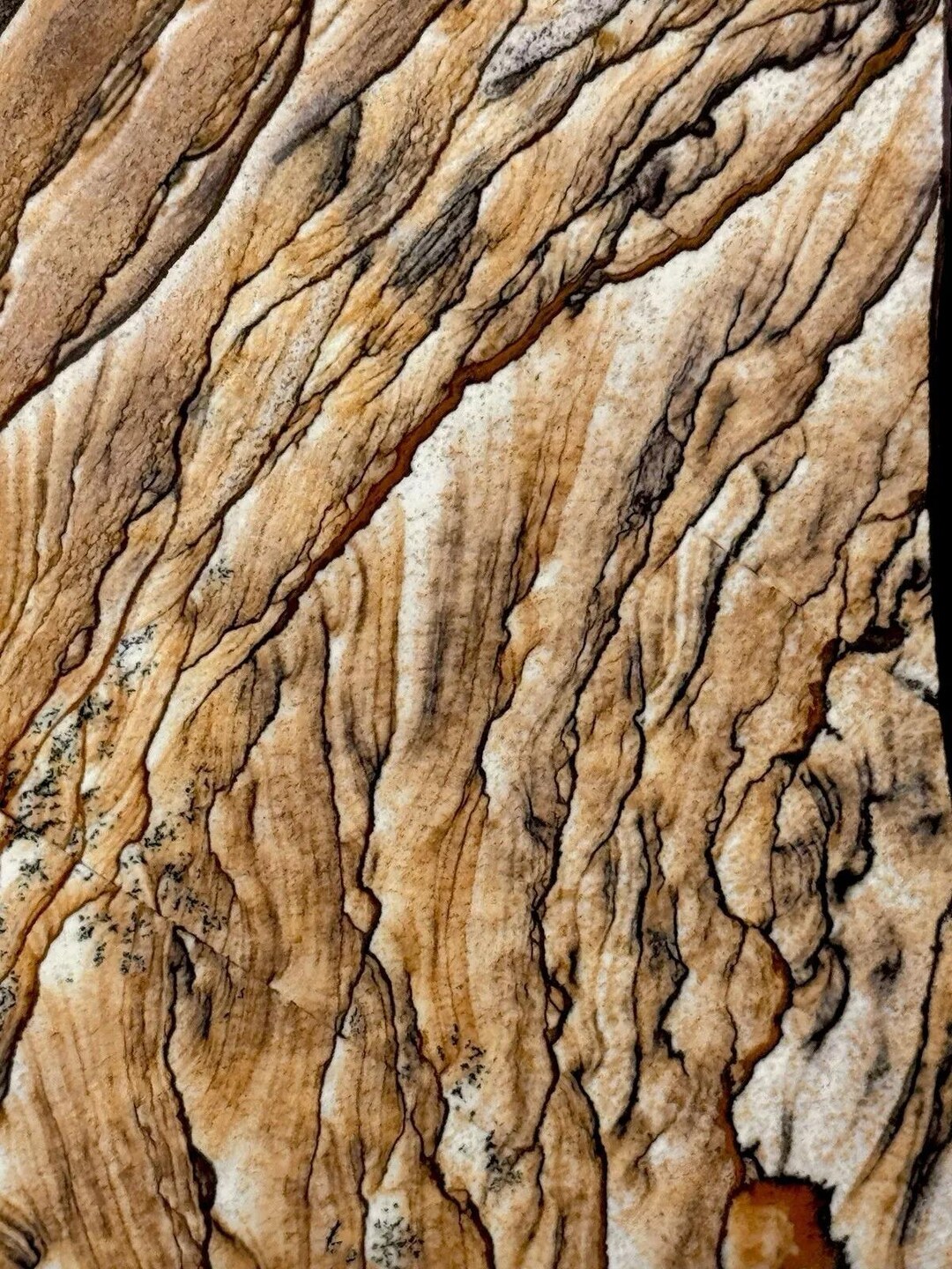 African Queen Picture Jasper Slab Large Unpolished 10.16oz Lapidary ...