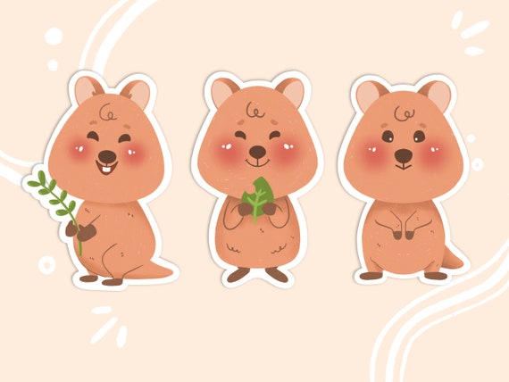 Quokka Sticker Pack Rottnest Island Quokka Gift Animal | Etsy