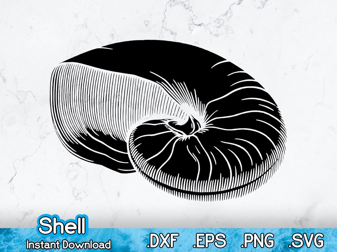 Shell Silhouette Pack - Etsy