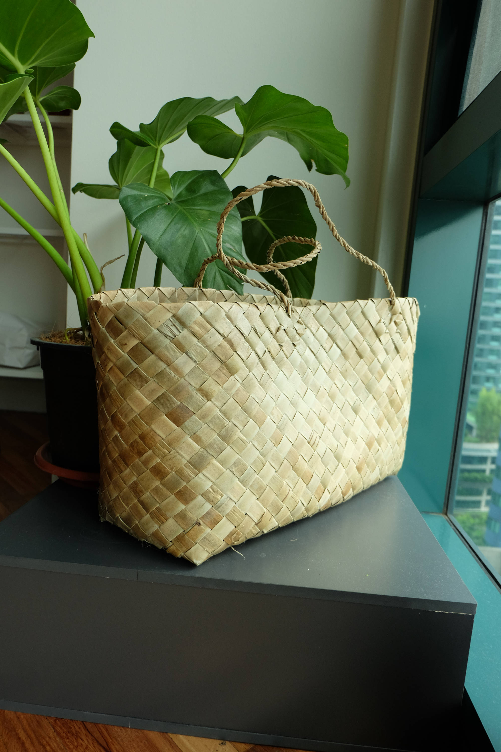 GALA Natural Abaca Bag Extra Large | Etsy