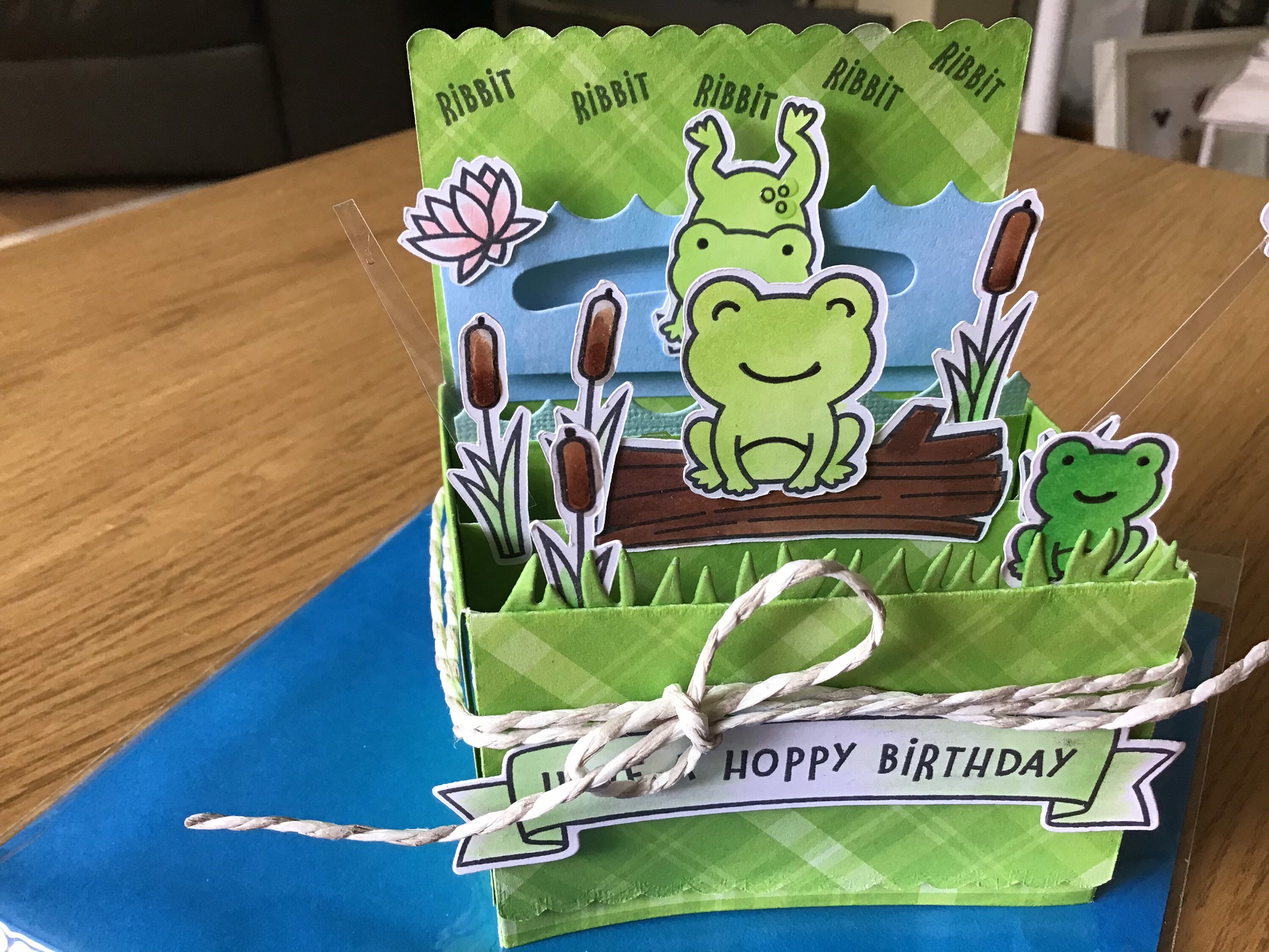 Interactive Pop up Froggy Card - Etsy UK