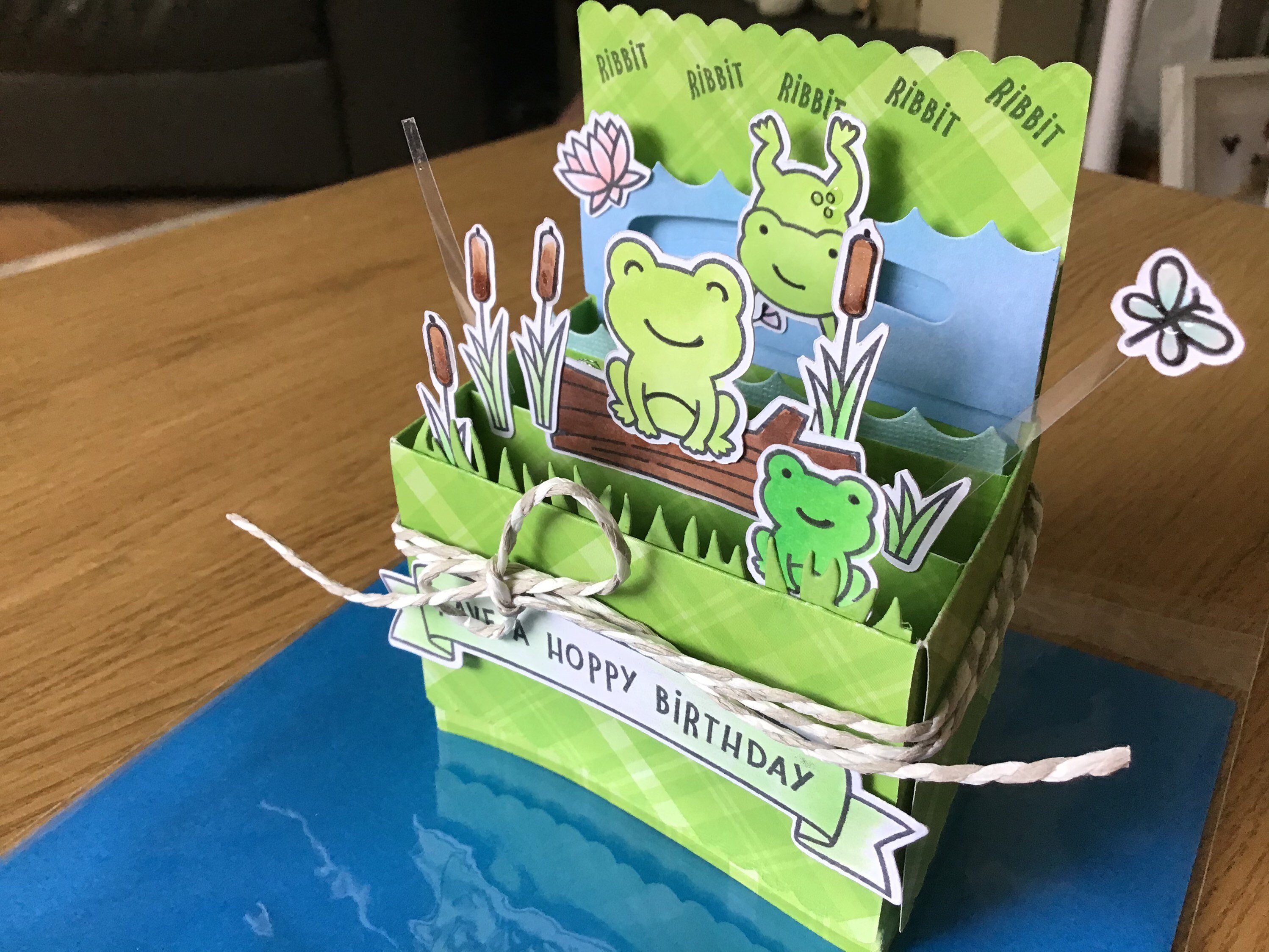Interactive Pop up Froggy Card - Etsy UK