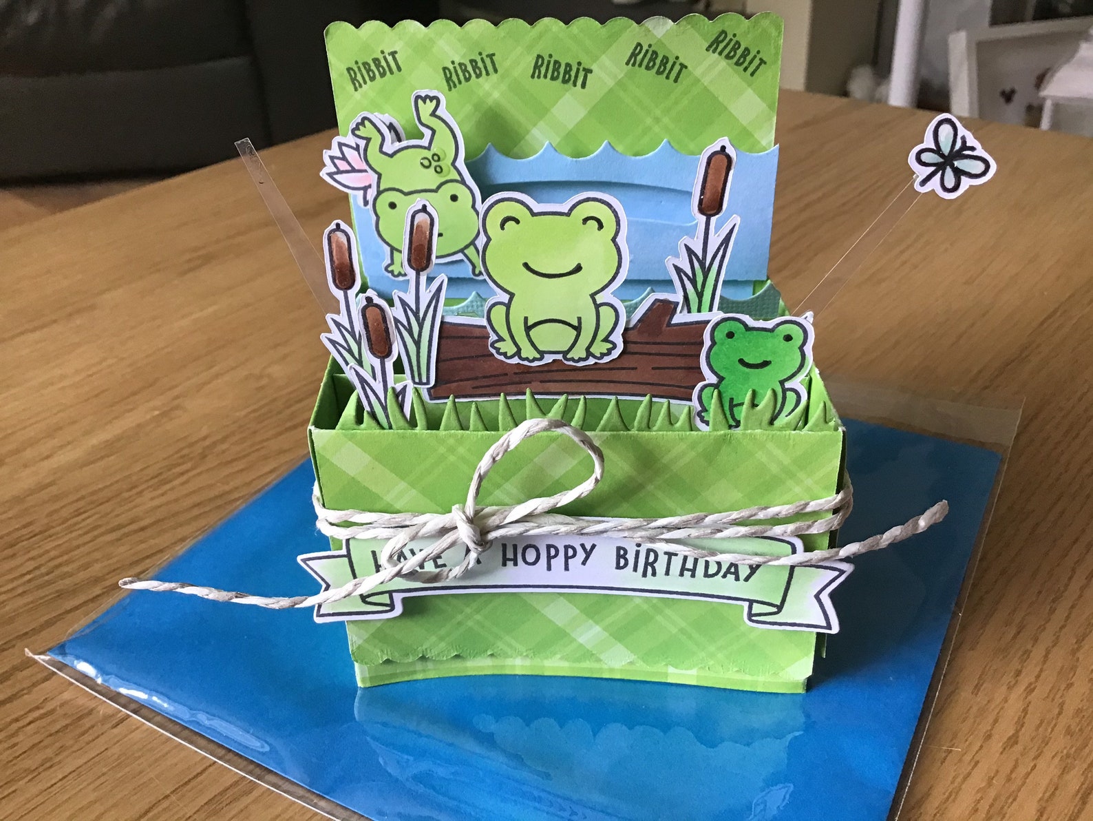 Interactive Pop up Froggy Card - Etsy UK