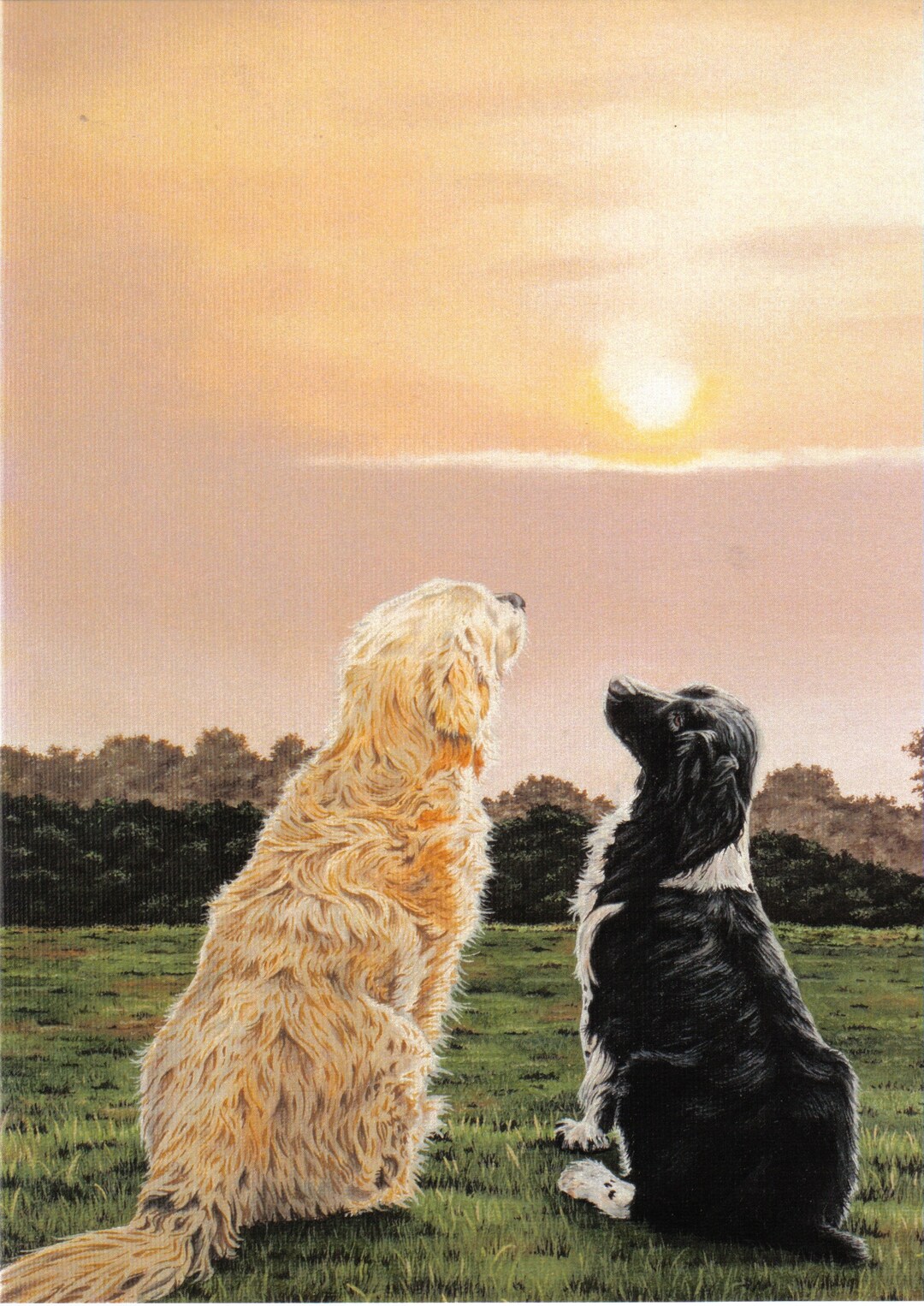 Two Dogs Greetings Card - Etsy