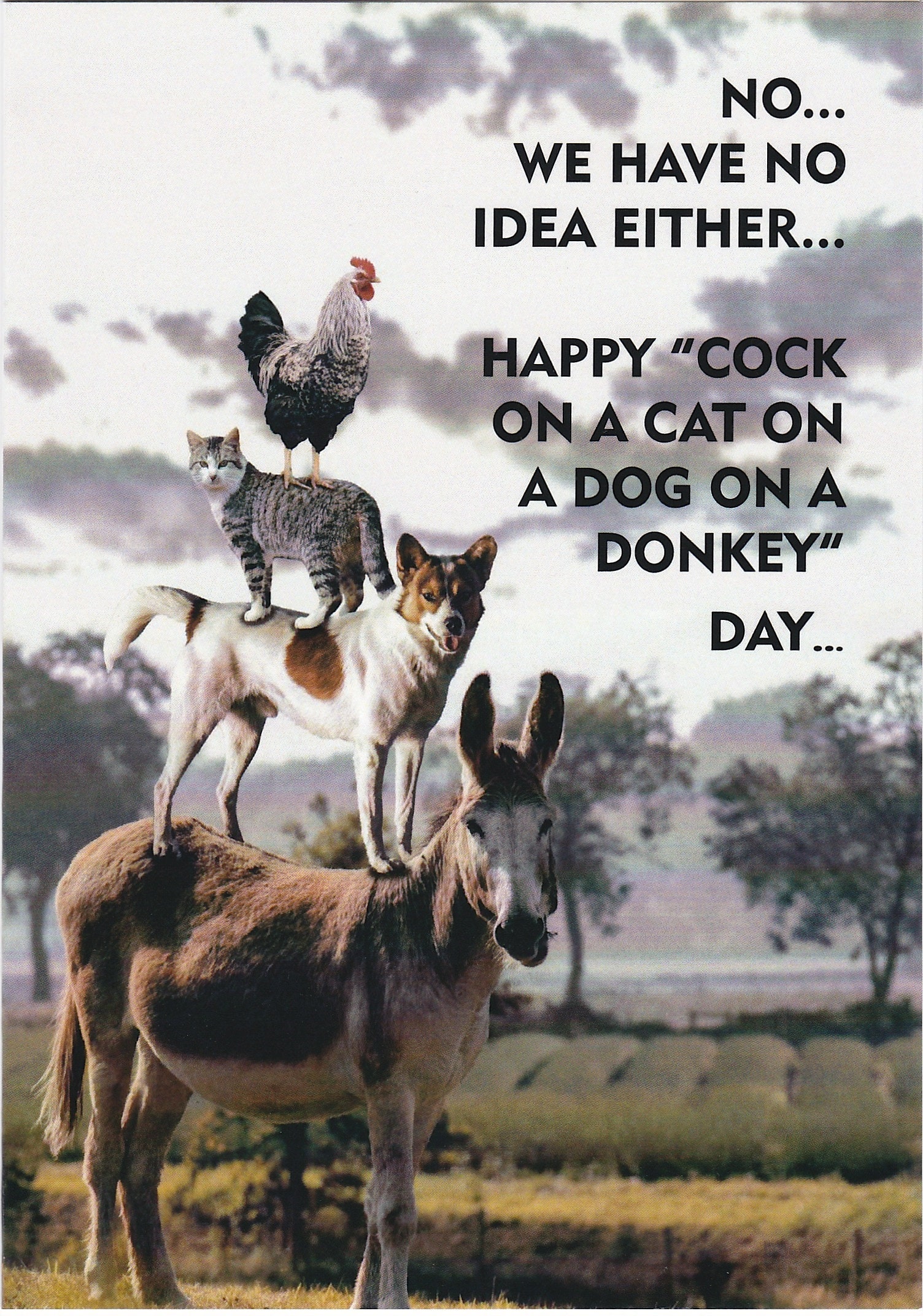 Happy Birthday Random Animalsinsulting Cardrude Birthday - Etsy