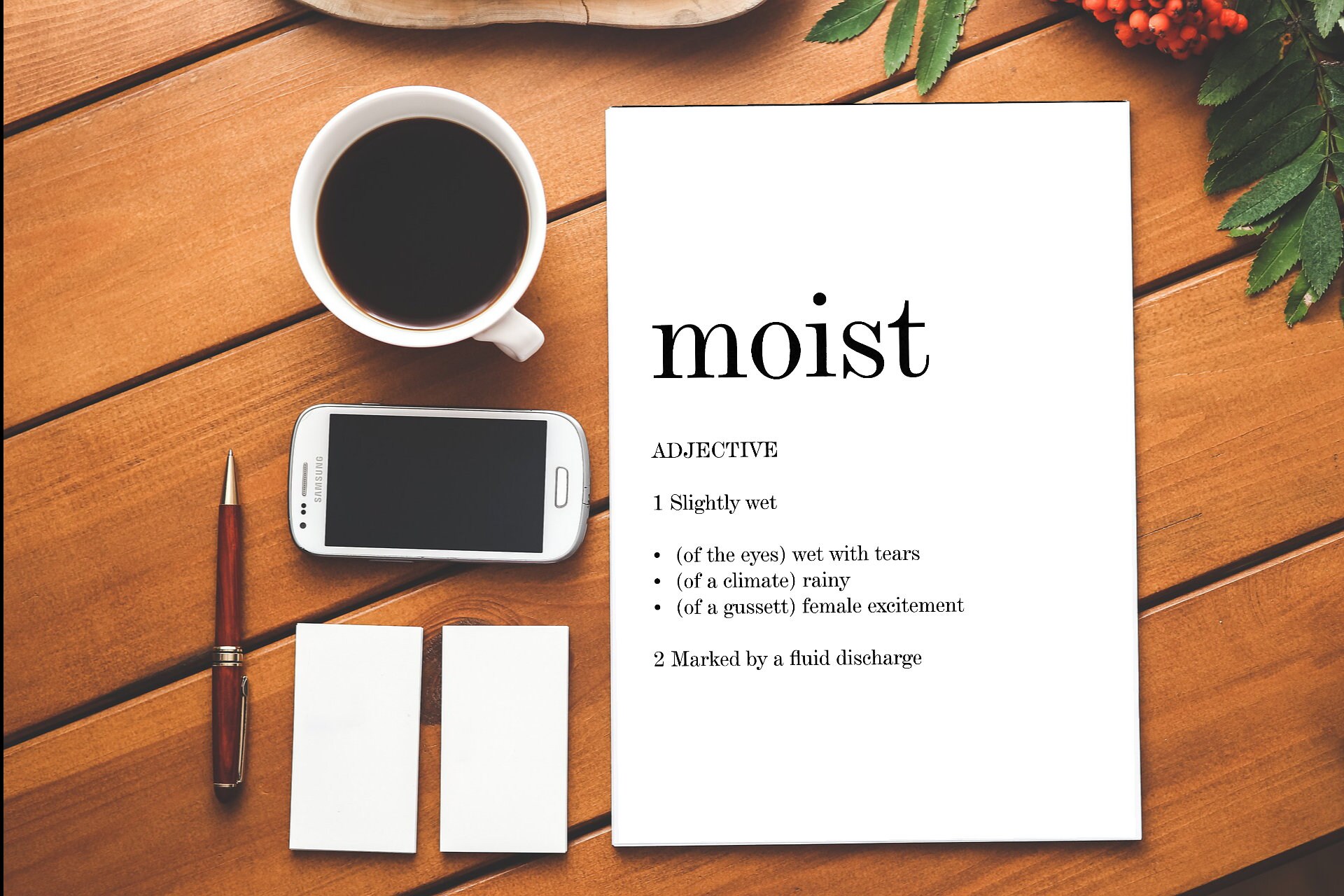Moist Dictionary Meaningrude Cardcrude Cardinsultinsulting - Etsy