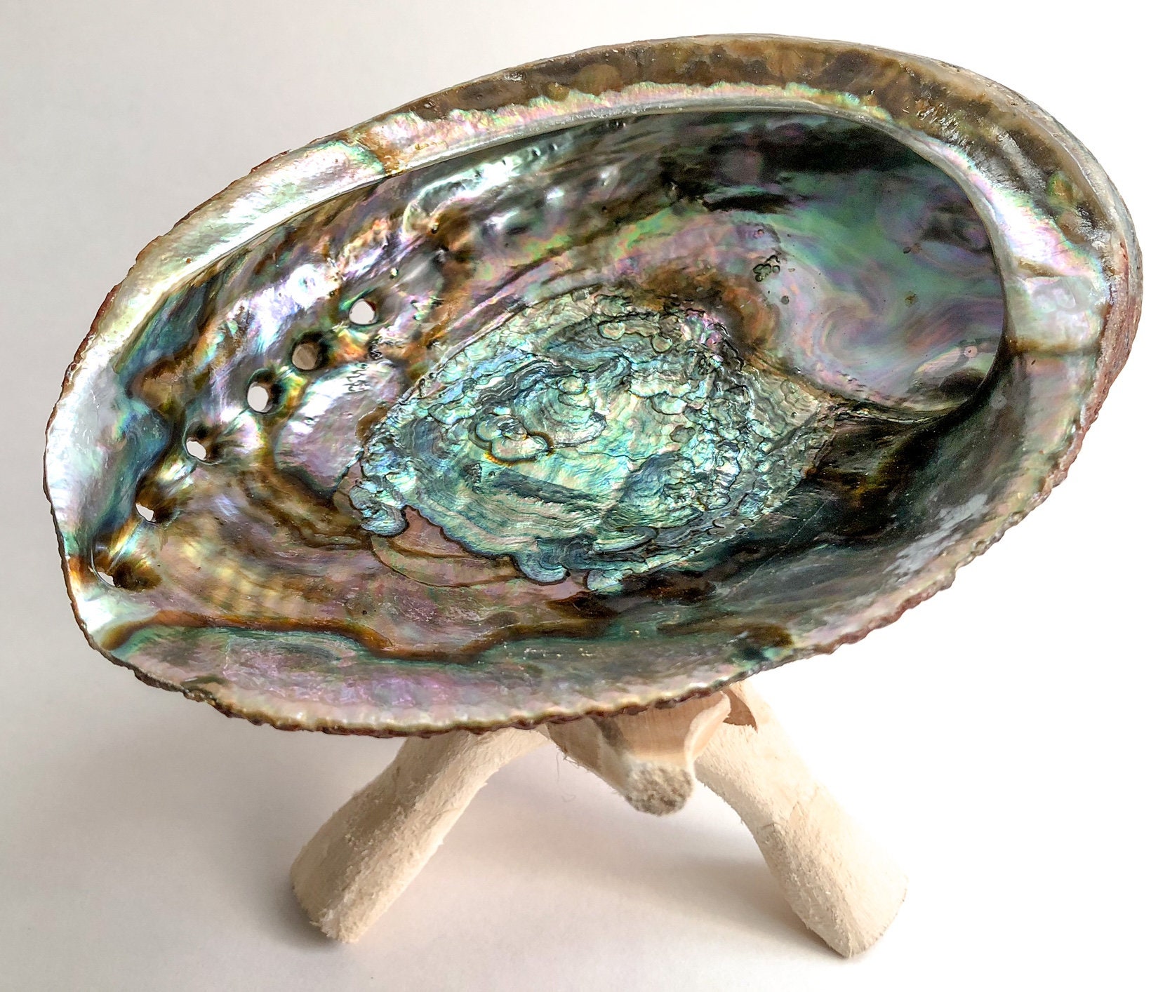 Premium Abalone Shell With Wood Stand for Smudging Burning - Etsy Canada