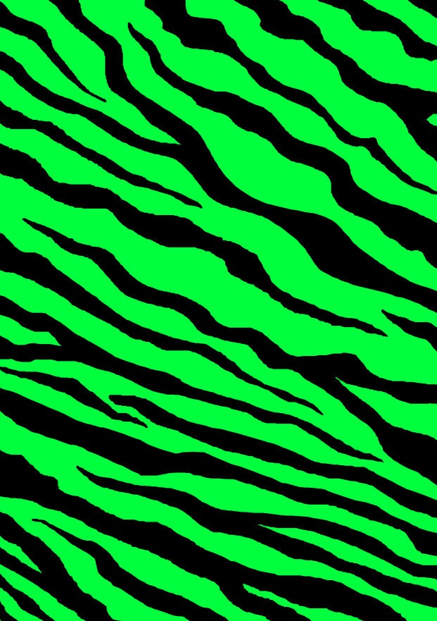 Lime Green Zebra Print Room