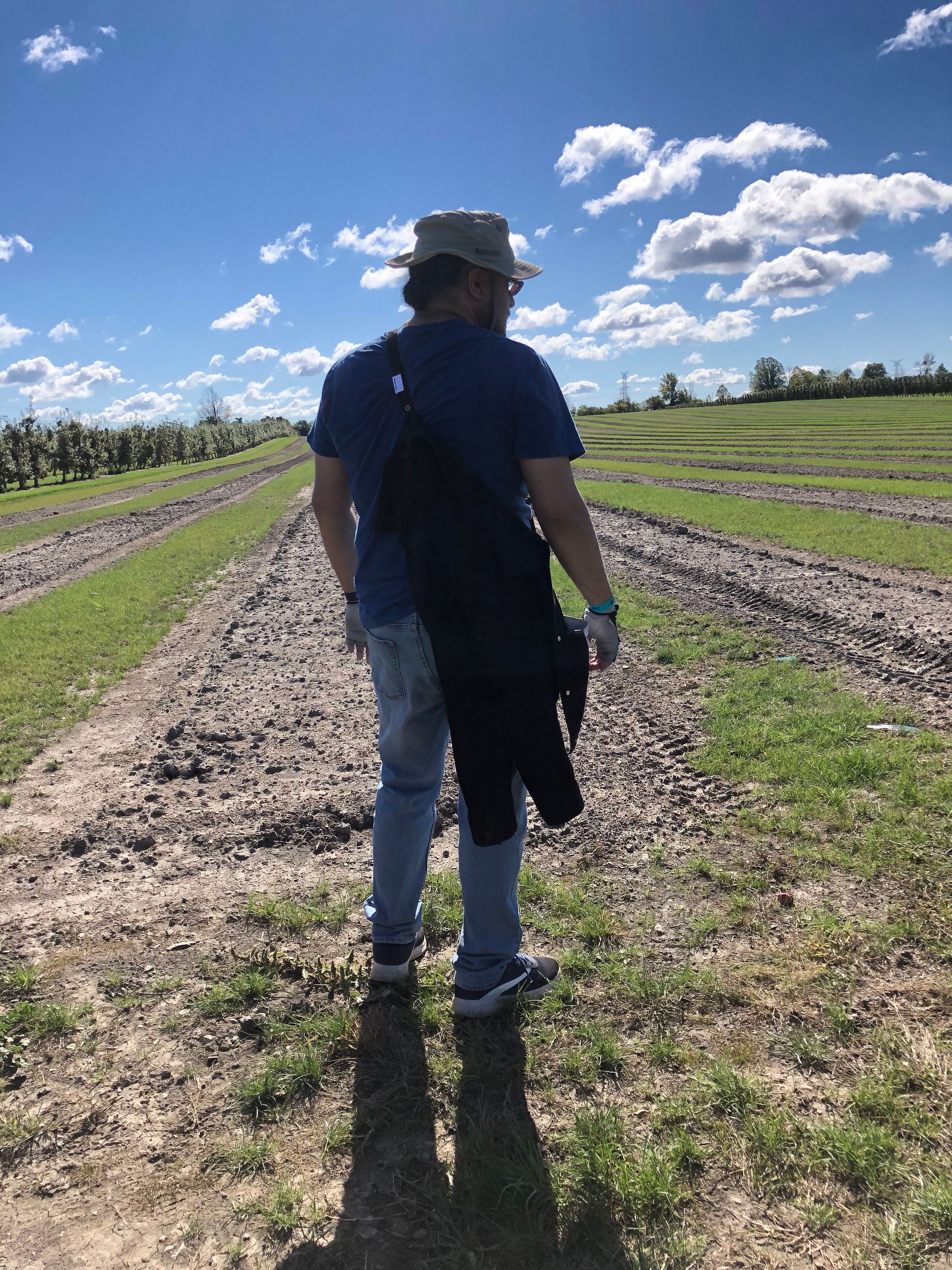Jacket Strap - Hands Free Jacket Carrier - Black - Etsy