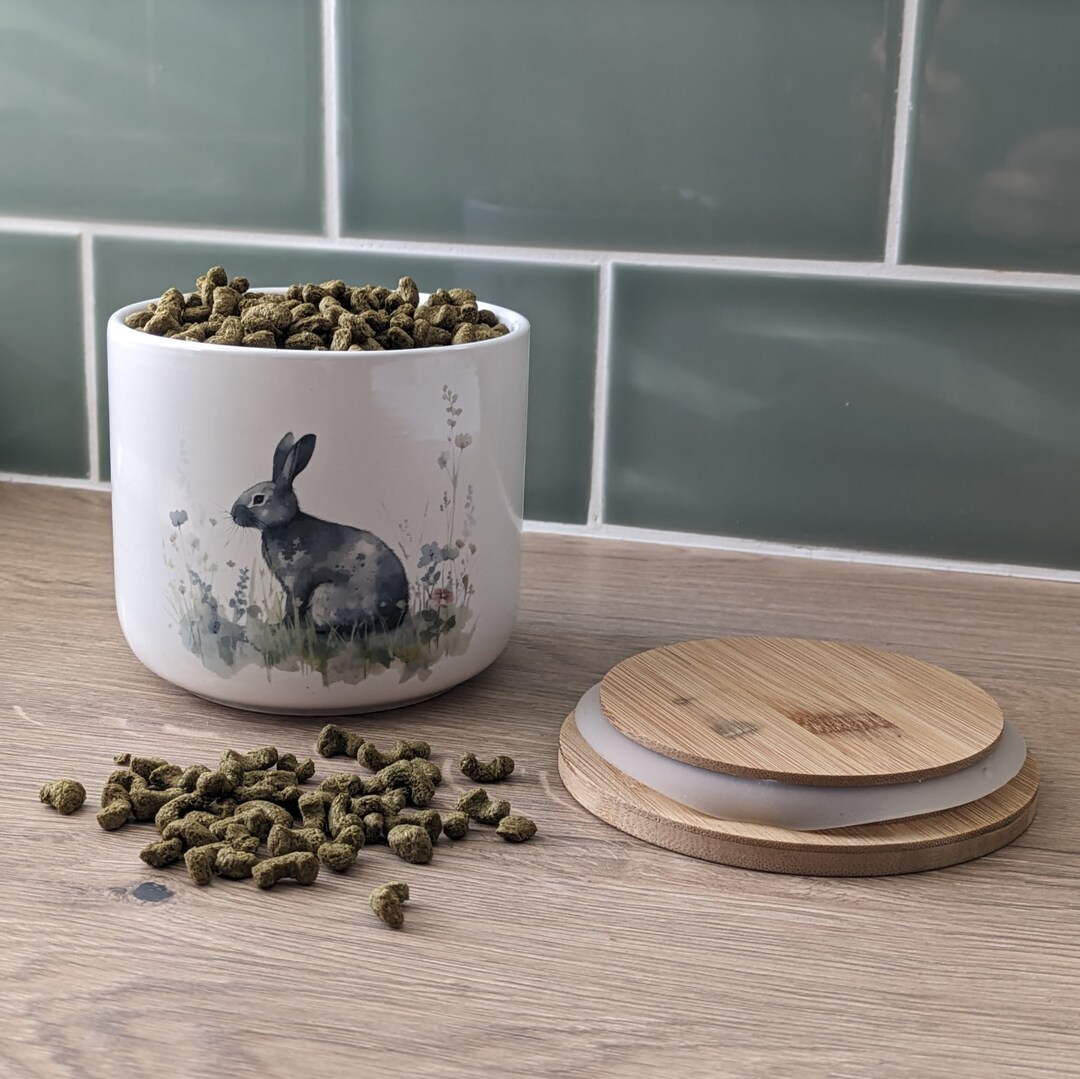 Rabbit Treat Jar - Rabbits, Rabbit Lover, Rabbit Gifts, Bunny Lover ...